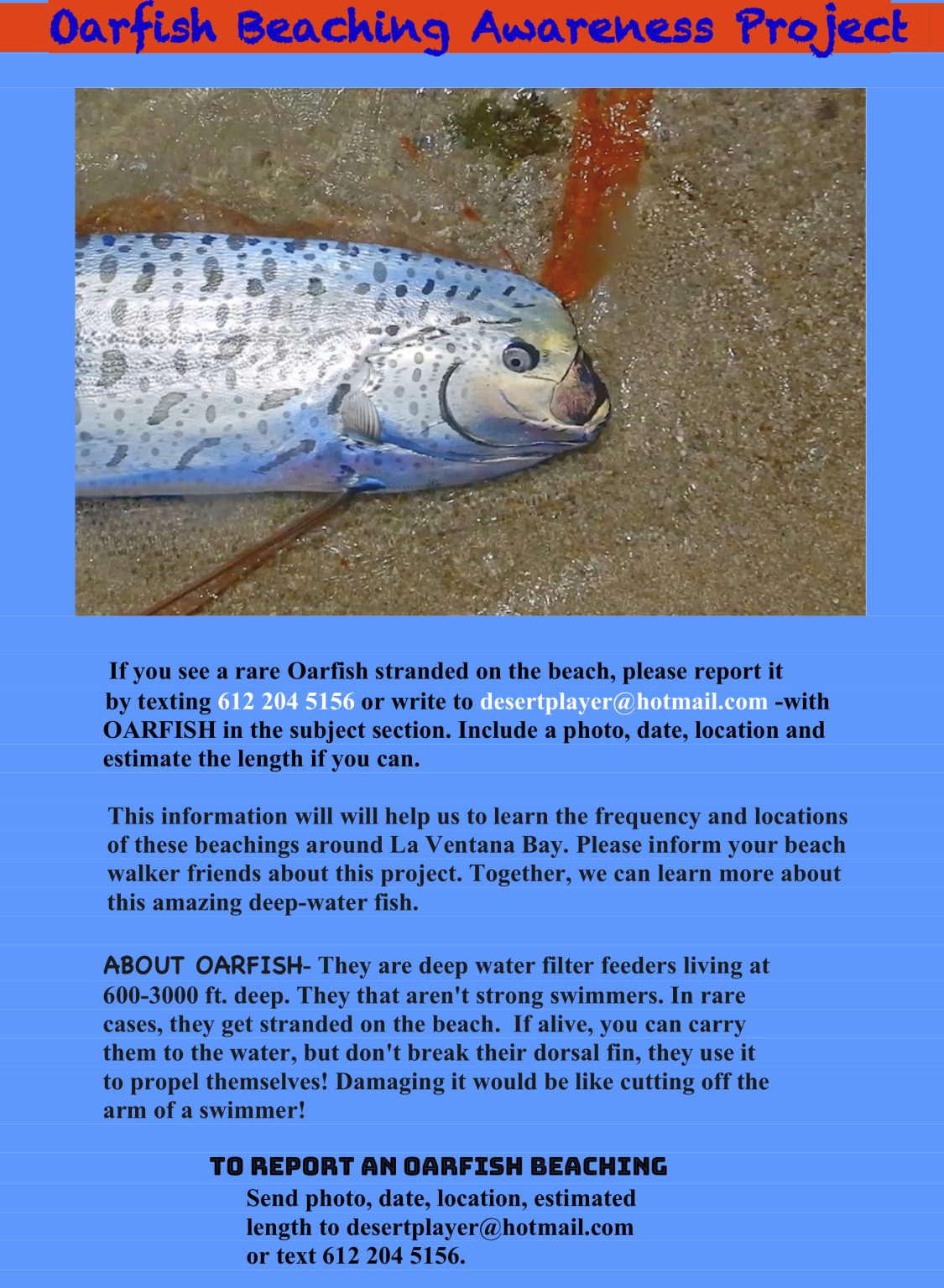 Observing the Reef – The Ventana View